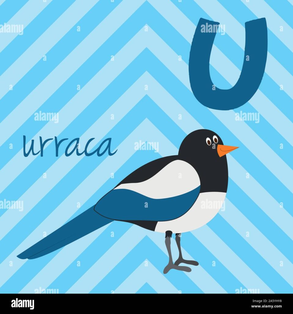 Descubre los maravillosos animales con la letra N en español - Todo ...