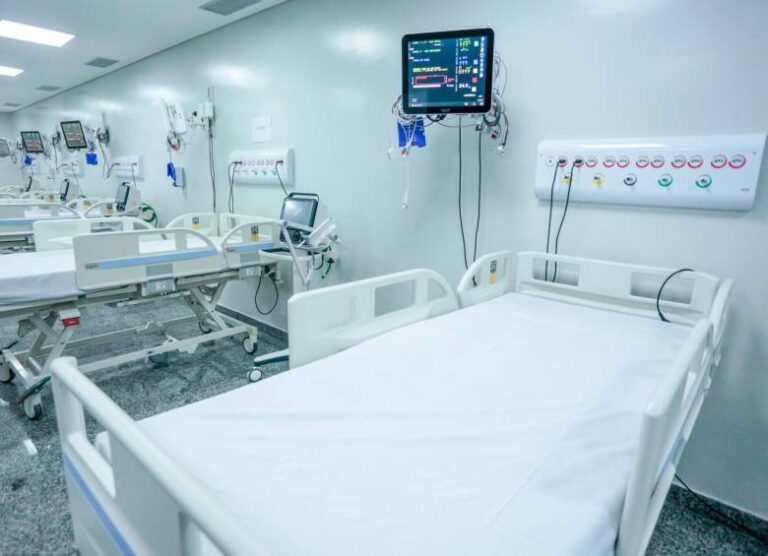 10 animales con la letra 'i' en su nombre en español que debes conocer ...