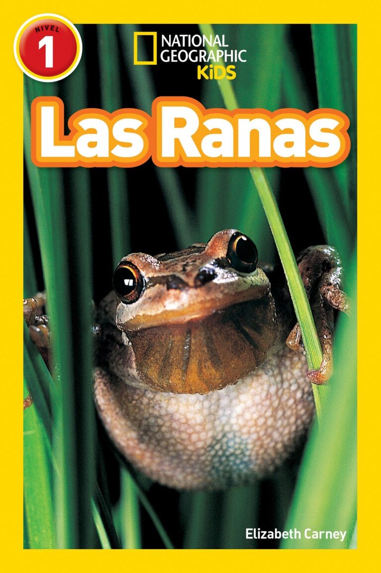¿Qué comen las ranas? Descubre su dieta y hábitos alimenticios - Todo ...