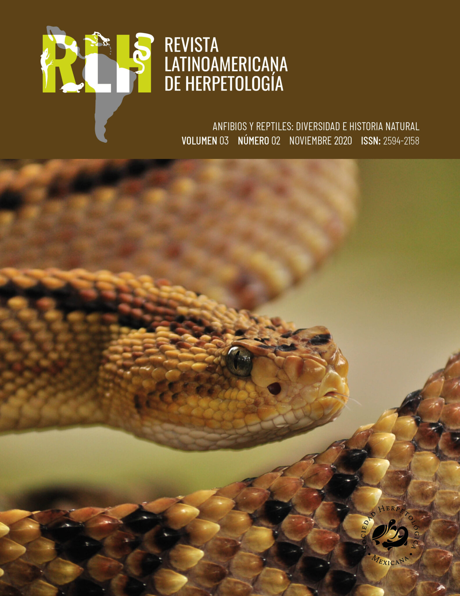 Diferencias clave entre culebras y serpientes: ¿cómo distinguirlas ...